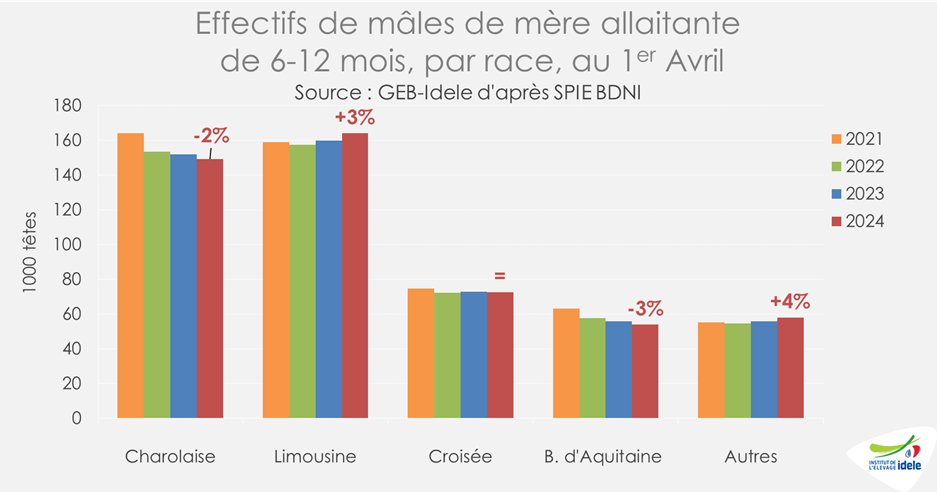 Tendances Lait Viande